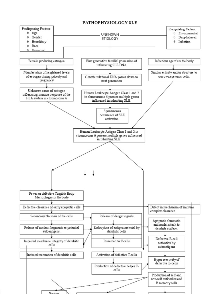 Systemic Lupus Erythematosus Pathophysiology | Systemic Lupus Erythematosus | Inflammation ...