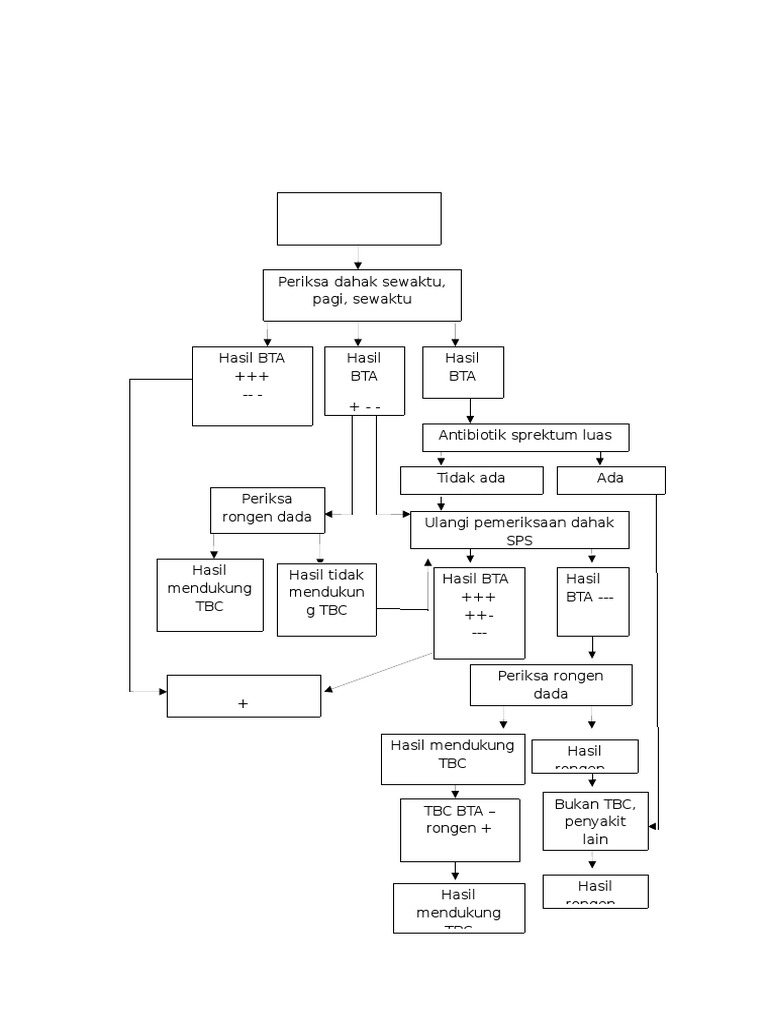 Alur Diagnosis TB Paru