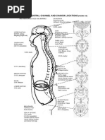 108 Marma Points Chart | PDF | Edema | Prana