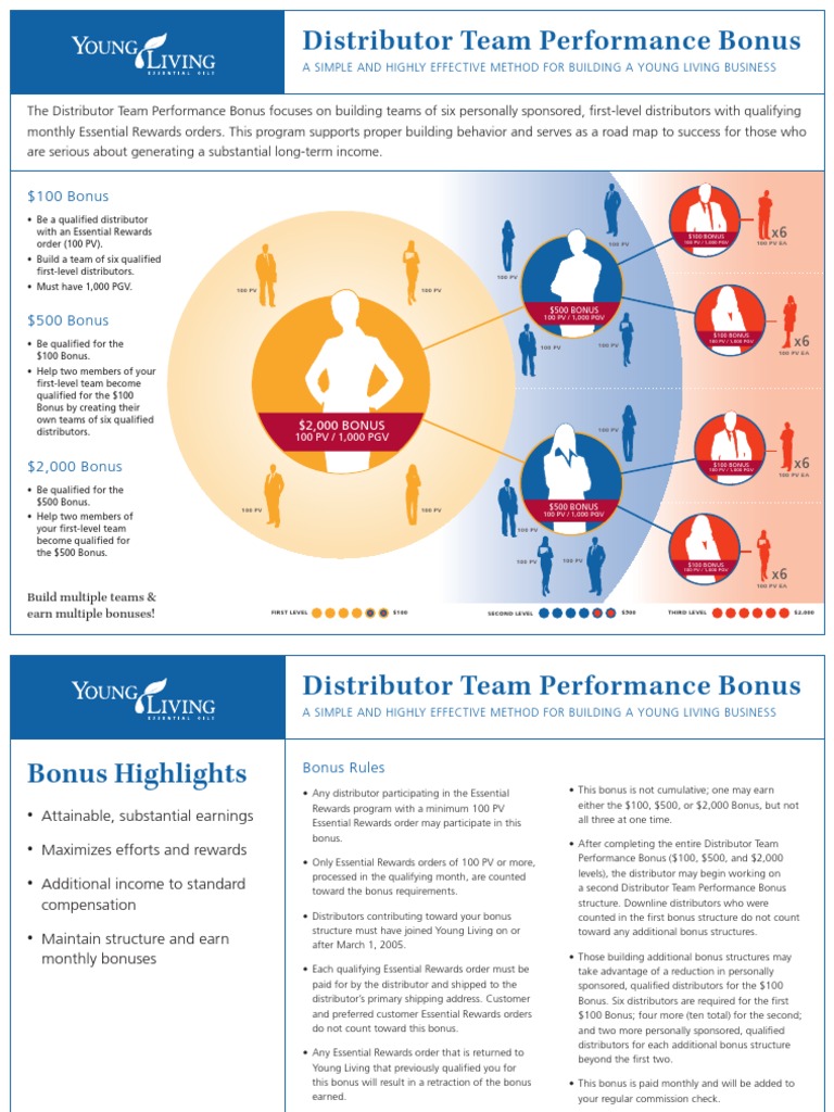 Distributor Team Performance Bonus | PDF | Economies | Business