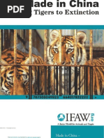 Banking Maths Project | PDF | Transaction Account | Banks