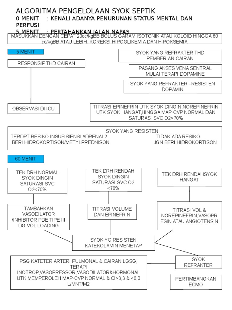 ALGORITMA Syok | PDF