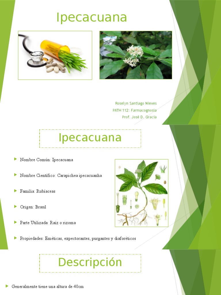 Ipecacuana | Vómitos | Especialidades Medicas