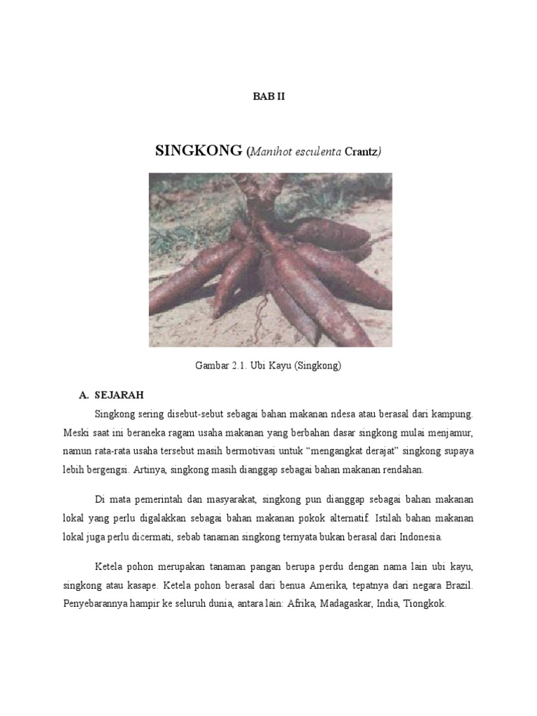 02 - BAB II - SINGKONG - Buku 9 UMBI UTAMA - Ir - HM.Bargumono, MSi Dan Ir.H. Suyadi, MP - Oke ...