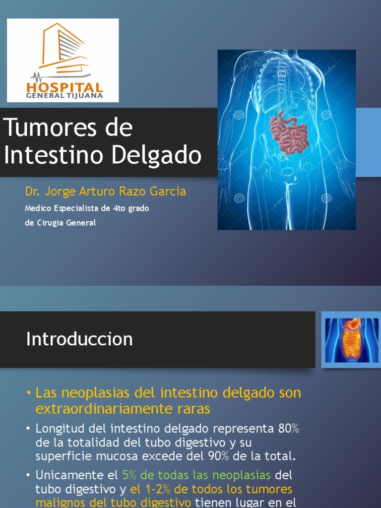 Tumores del Intestino Delgado: Síntomas y Diagnóstico | PDF | Intestino ...