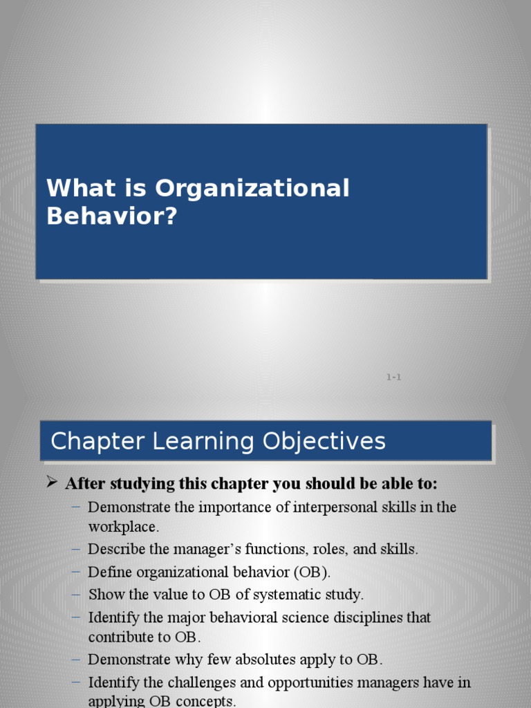 01 What Is OB | PDF | Diversity (Business) | Organizational Behavior