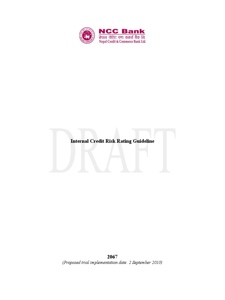 Credit Risk Rating Guidelines | PDF | Swot Analysis | Leverage (Finance)