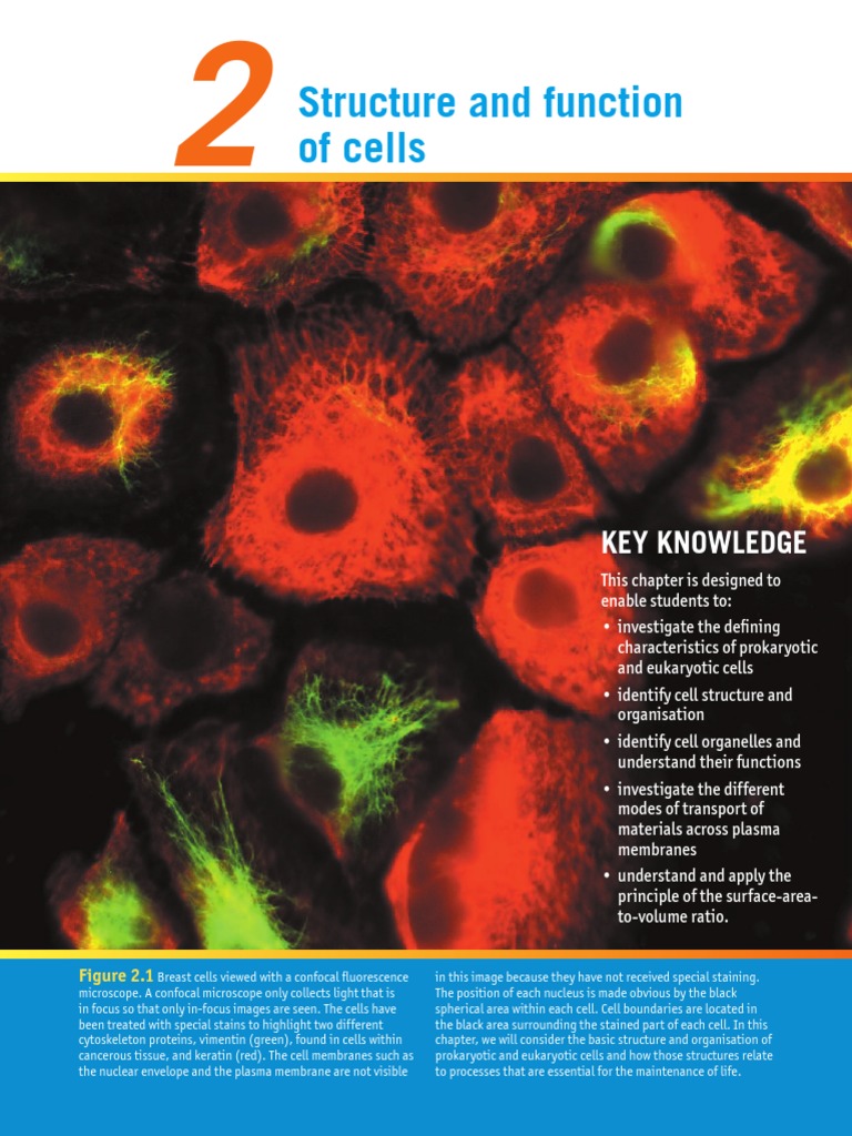 CHP 2 Structure and Function of Cells | PDF | Cell (Biology) | Cell ...