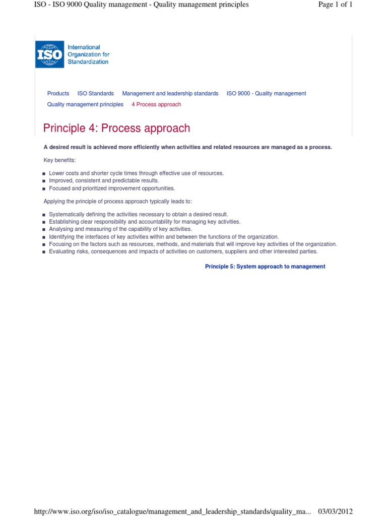 Principle 4: Process Approach | PDF