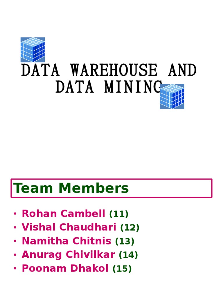 Data Warehousing and Mining | PDF | Data Warehouse | Business Intelligence