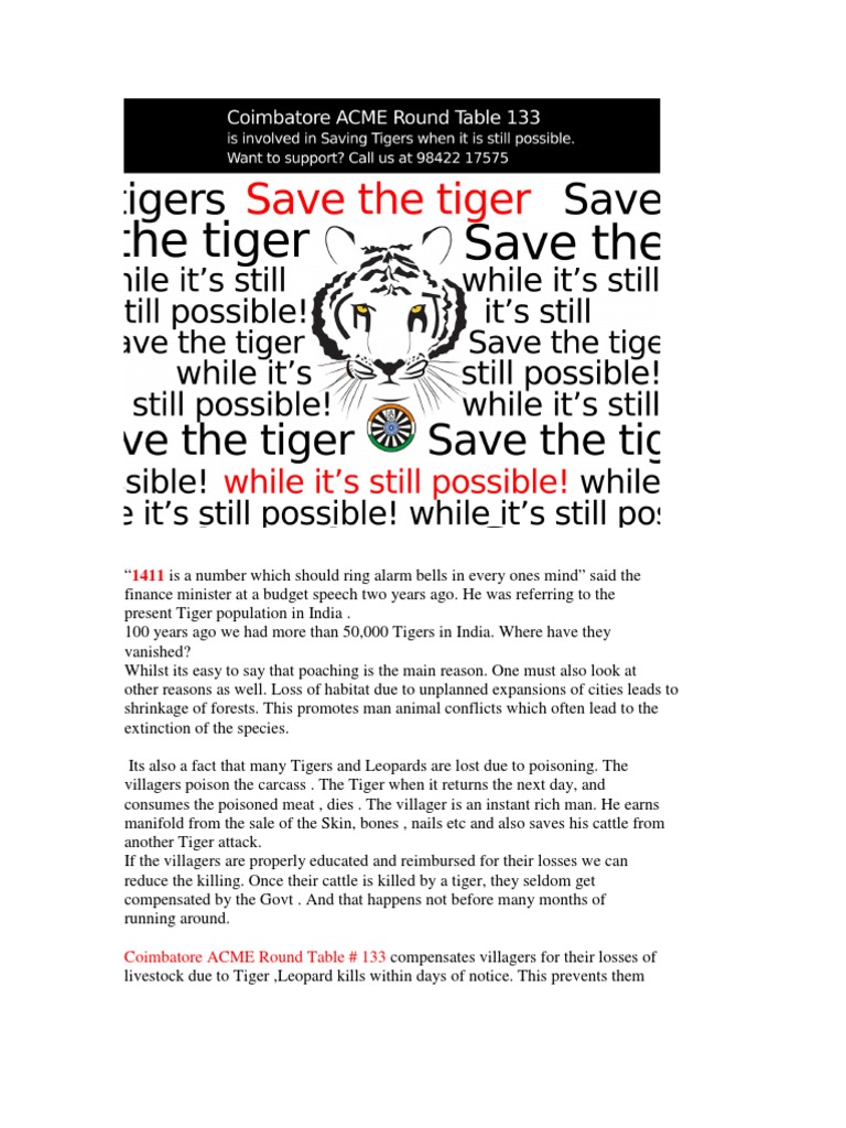 "1411 Is A Number Which Should Ring | PDF | Tiger | Business