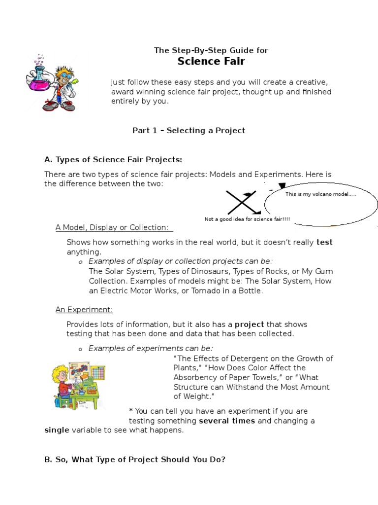 Step-By-Step Guide To Science Fair | PDF | Chart | Experiment