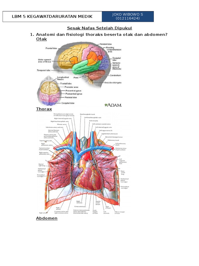 Li LBM 5 KGD 74CK | PDF