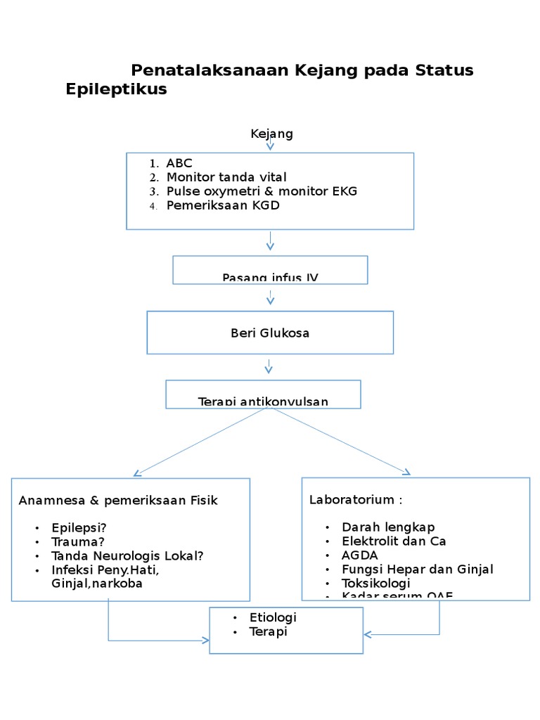 Penatalaksanaan Status Epileptikus | PDF