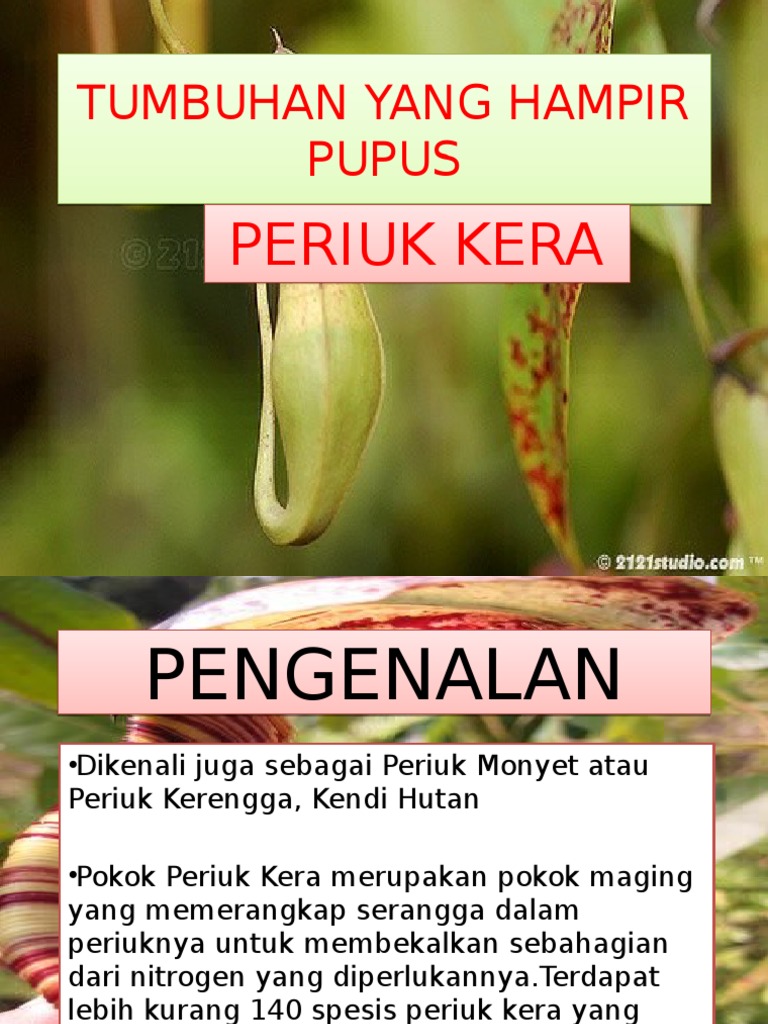 Periuk Kera | PDF