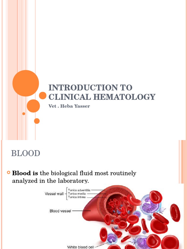 Introduction To Clinical Hematology | PDF | Vein | Blood Sugar