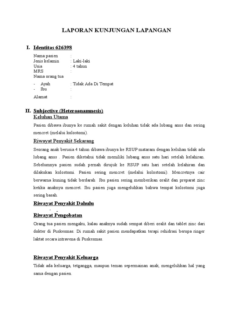 Laporan Kunjungan Lapangan | PDF