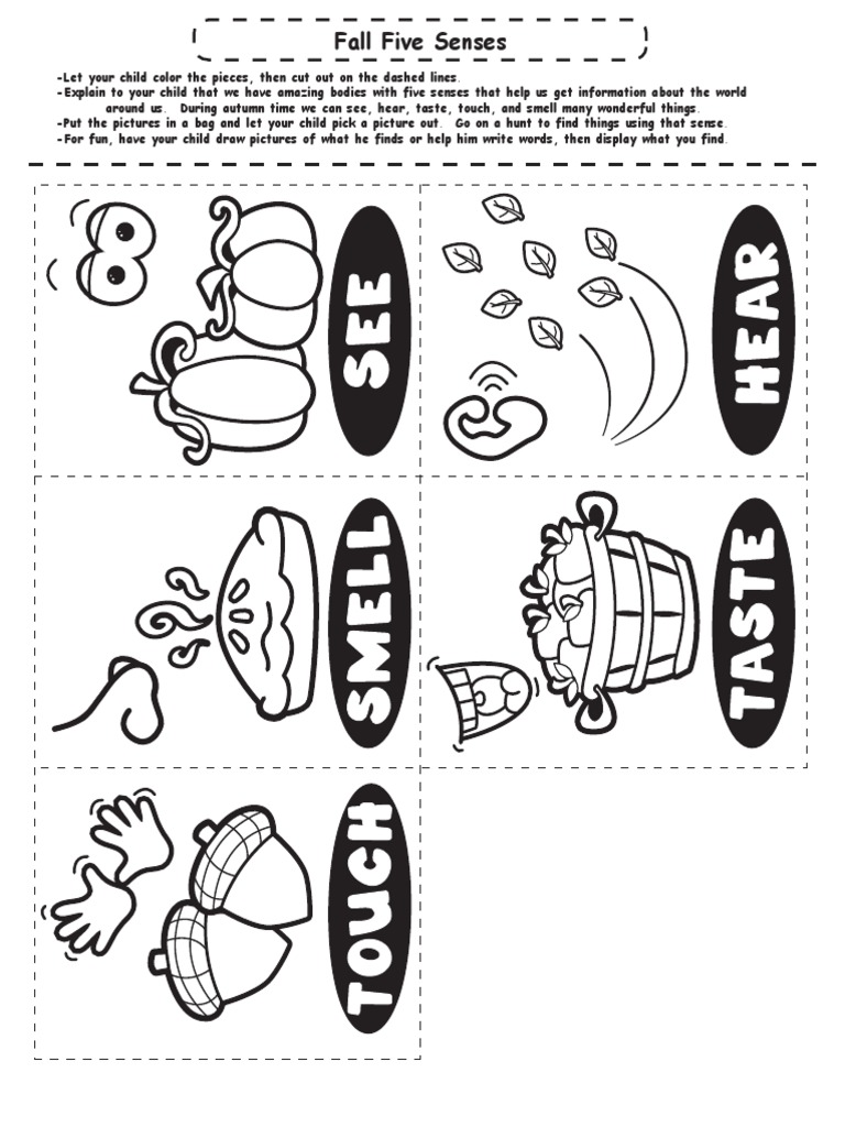 Fall Senses Activity for Kids | PDF
