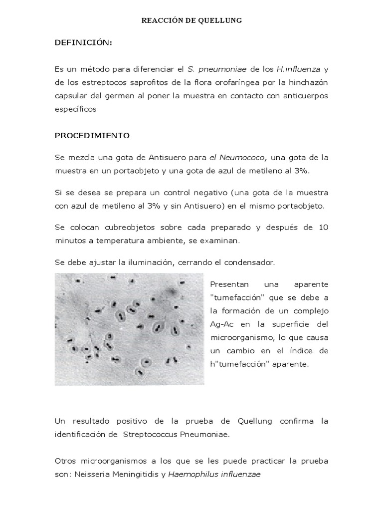Reacción de Quellung | PDF | Patologia clinica | Inmunología