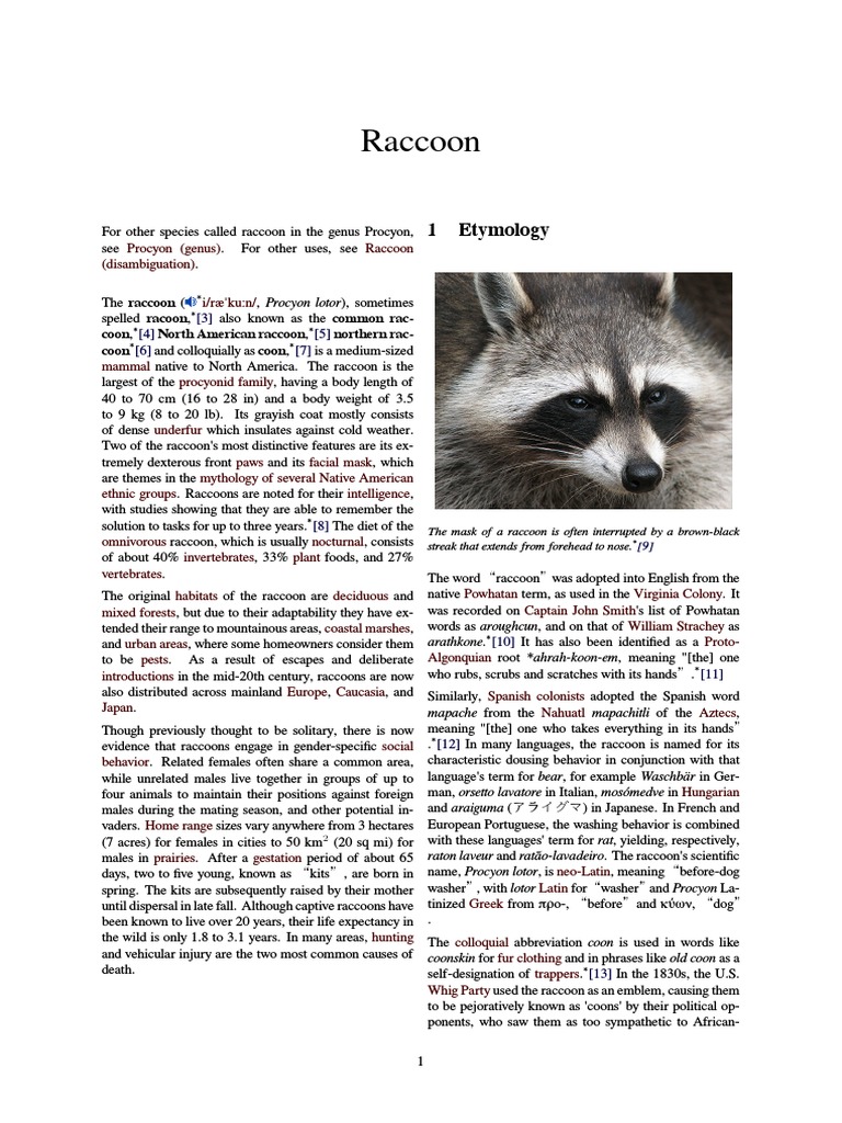 Raccoon | PDF | Raccoon | Rabies