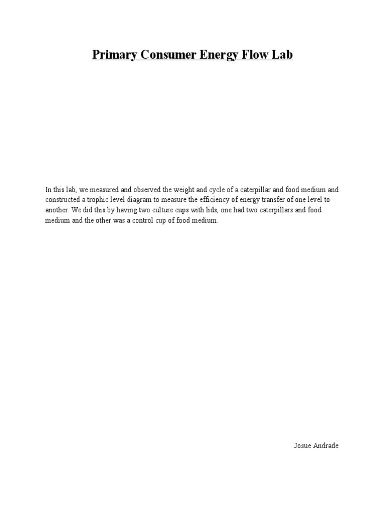 Primary Consumer Energy Flow Lab | PDF | Food Web | Pupa