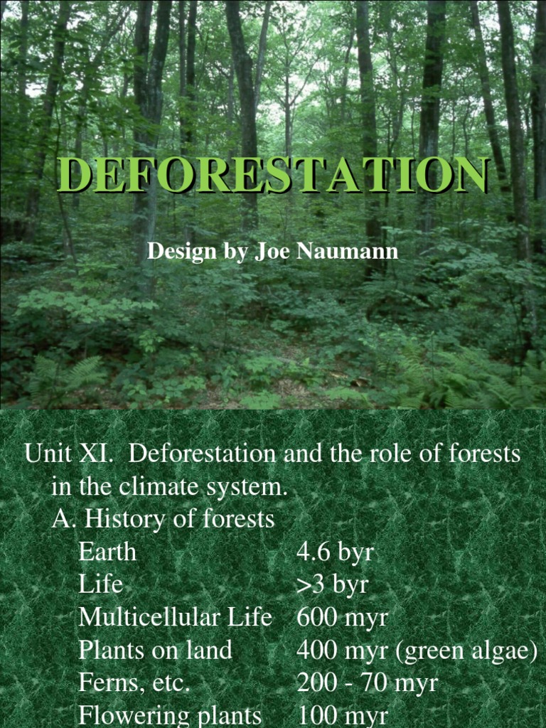 unit10 deforestation.ppt | Forests | Deforestation