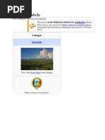 Pis Siyabit Weaving in Sulu | PDF | Home & Garden