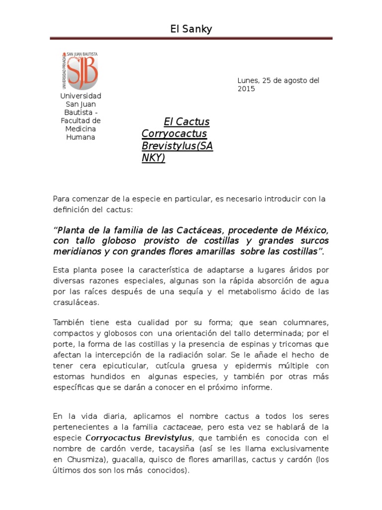 Propiedades del Sancayo en Medicina | PDF | Fotosíntesis | Agua