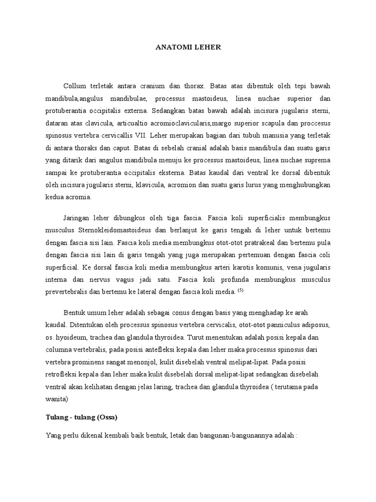 Anatomi Regio Leher | PDF