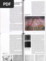 MYP Sciences Guide | PDF | Scientific Method | Science