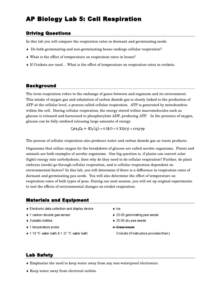 AP Lab 5 Cellular Respiration | PDF | Cellular Respiration | Adenosine Triphosphate
