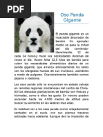 Tipos de Pandas | PDF | Panda gigante | Osos