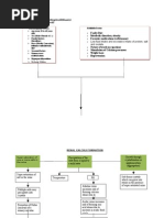 Pa Tho Physiology of Pyelonephritis | PDF | Self-Improvement | Wellness