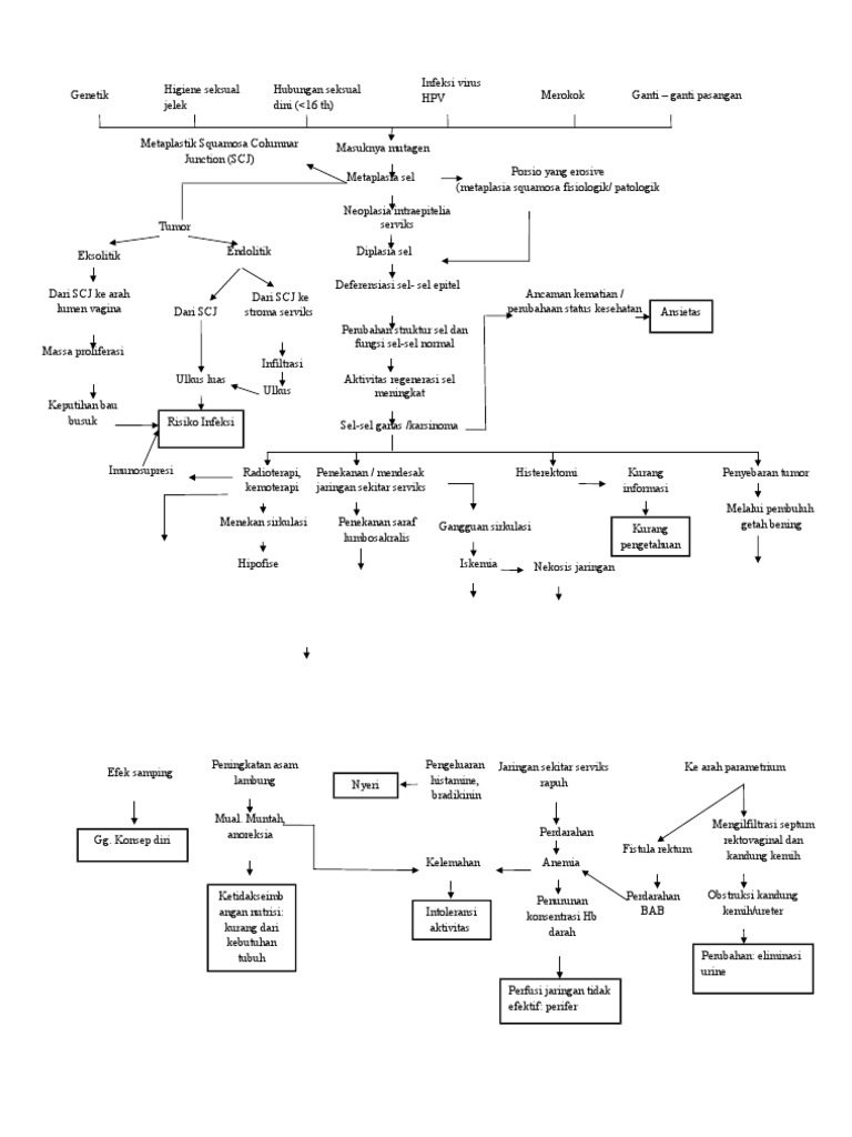 Pathway CA Serviks | PDF