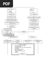 WOC - Diabetes Melitus | PDF