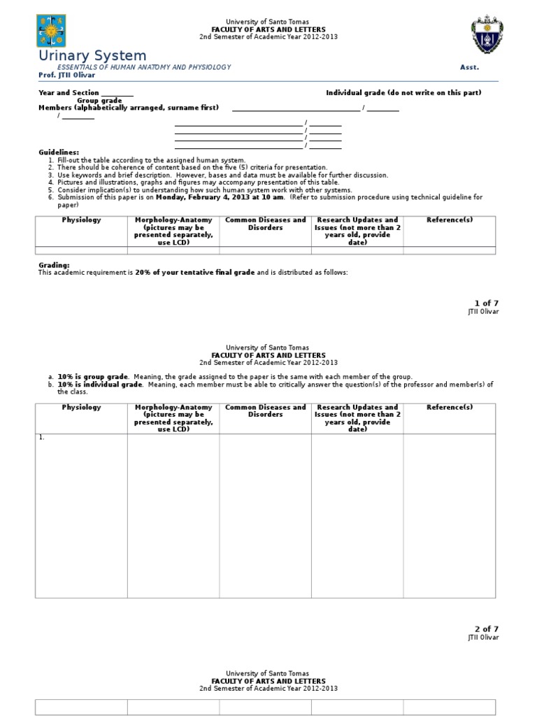 Urinary System: Essentials of Human Anatomy and Physiology | PDF ...