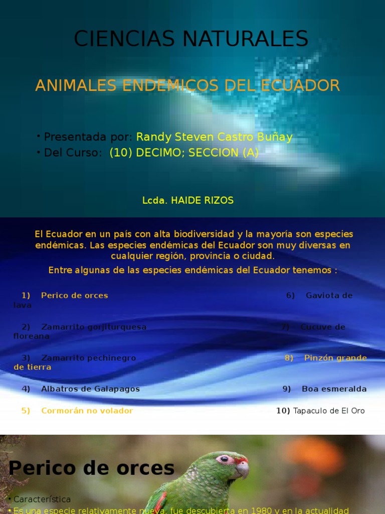 Animales Endémicos del Ecuador | PDF | Paravianos | Aves