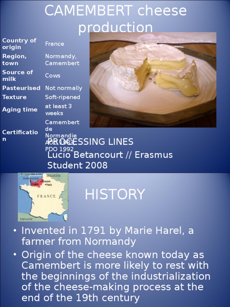 Camembert Cheese Production Process | PDF | Cheese | Dairy