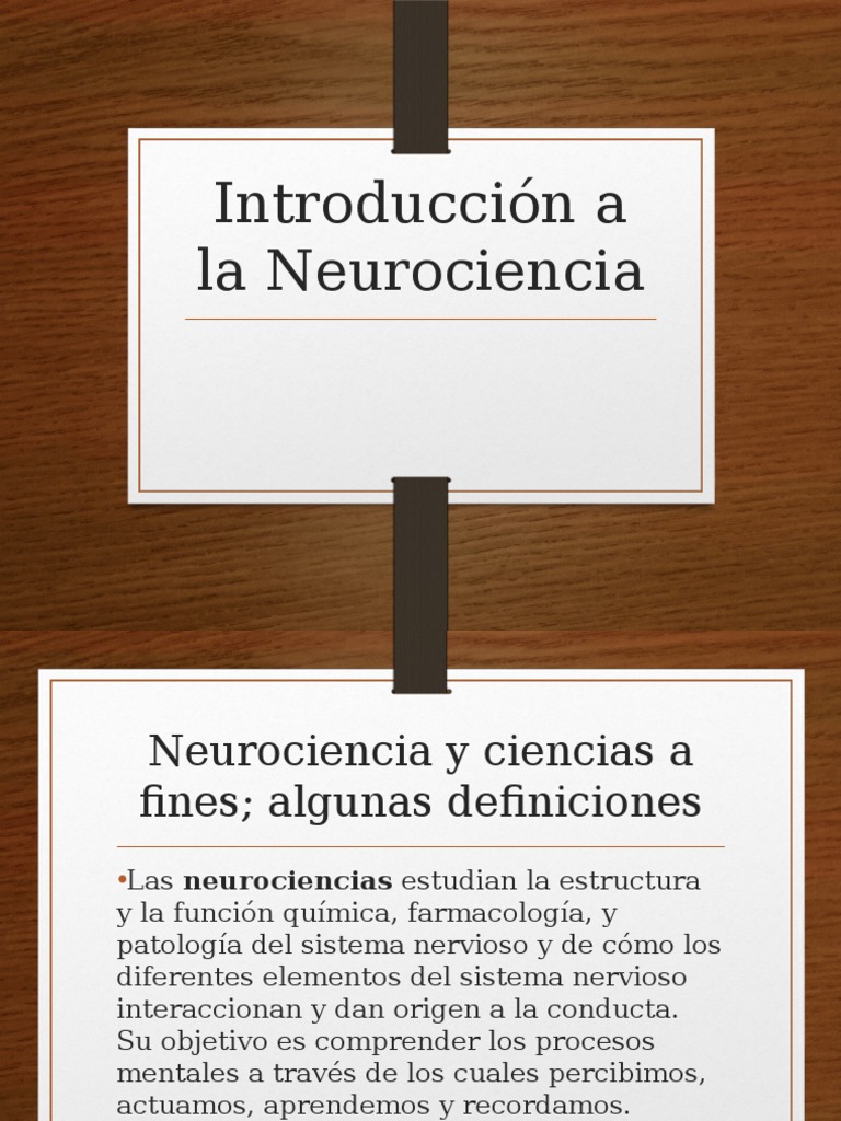 Cerebro Exposicion - 1 | PDF | Cerebro | Neurona