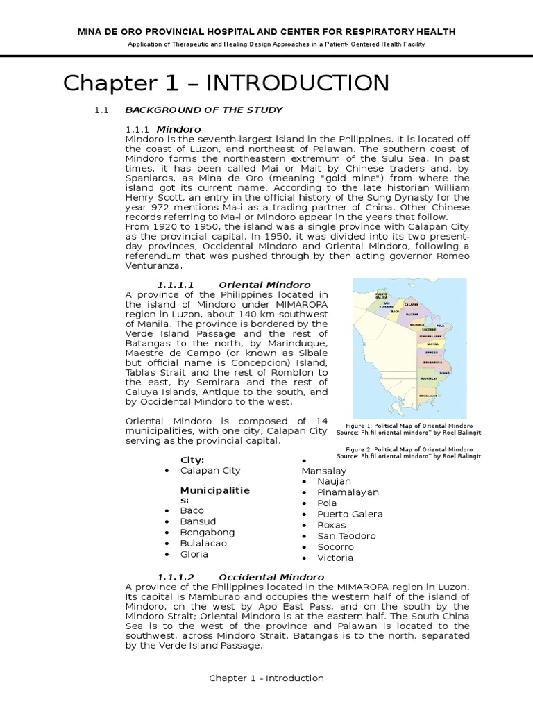 Hospital Thesis Chapter 1 | PDF | Health Care | Specialty (Medicine)