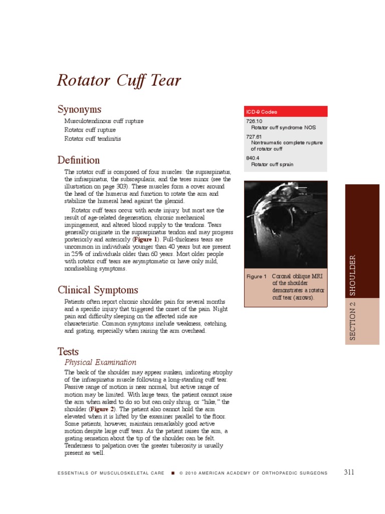Rotator Cuff Tear | PDF | Shoulder | Musculoskeletal System
