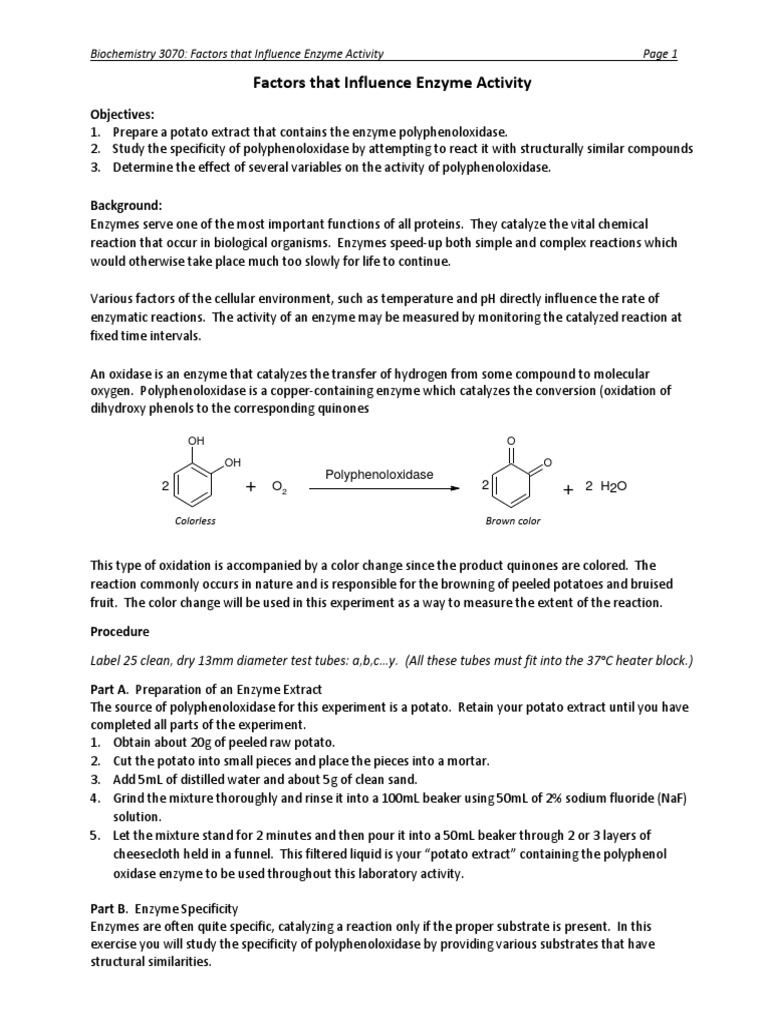 Enzyme Activity Factors in Biochemistry | PDF | Ph | Enzyme