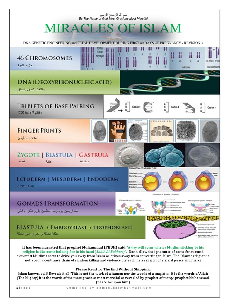 Miracles of Islam - DNA Genetic Engineering | PDF | Quran | Islam