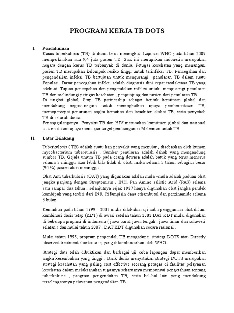 Program Kerja TB DOTS | PDF