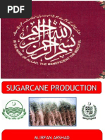 Crop Calendar Pakistan | PDF