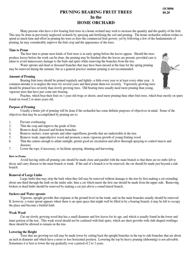 Pruning Fruit Trees Pdf Pruning Trees