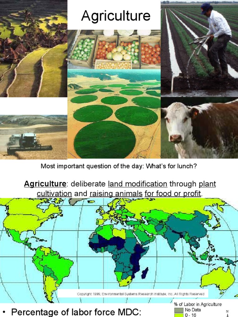 Agriculture Challenges and Strategies | PDF | Crop Rotation | Agriculture