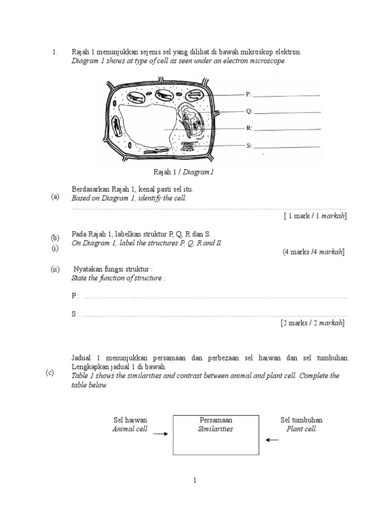 Paper 2 Question Biology SPM | PDF | Teaching Methods & Materials