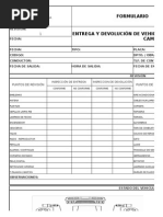 Formato de Control Vehicular | PDF