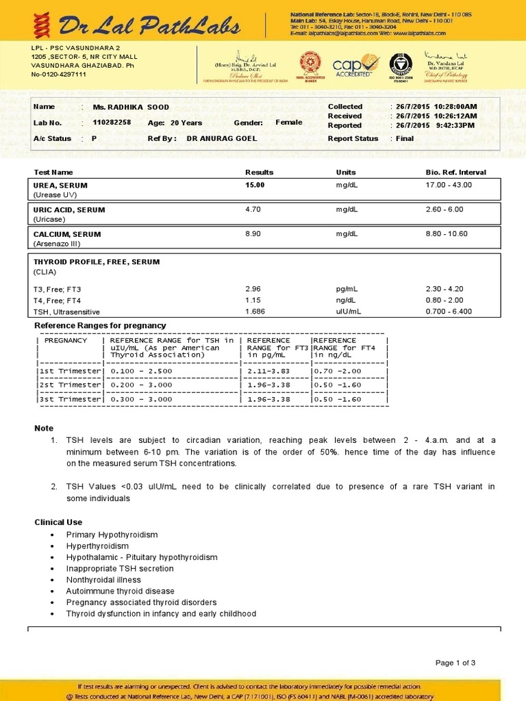 How To Read A Medical Report | PDF | Vitamin D | Thyroid Stimulating ...